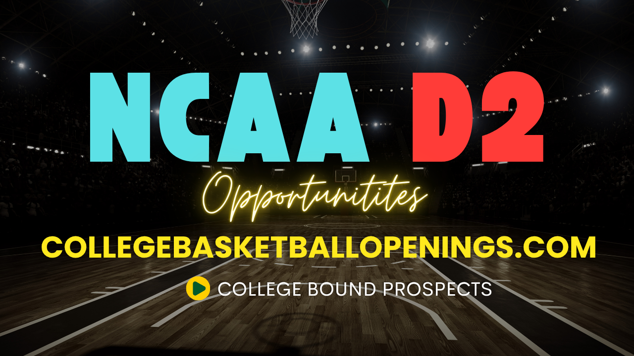 D2 OPPORTUNITIES FOR UNSIGNED MEN'S BASKETBALL